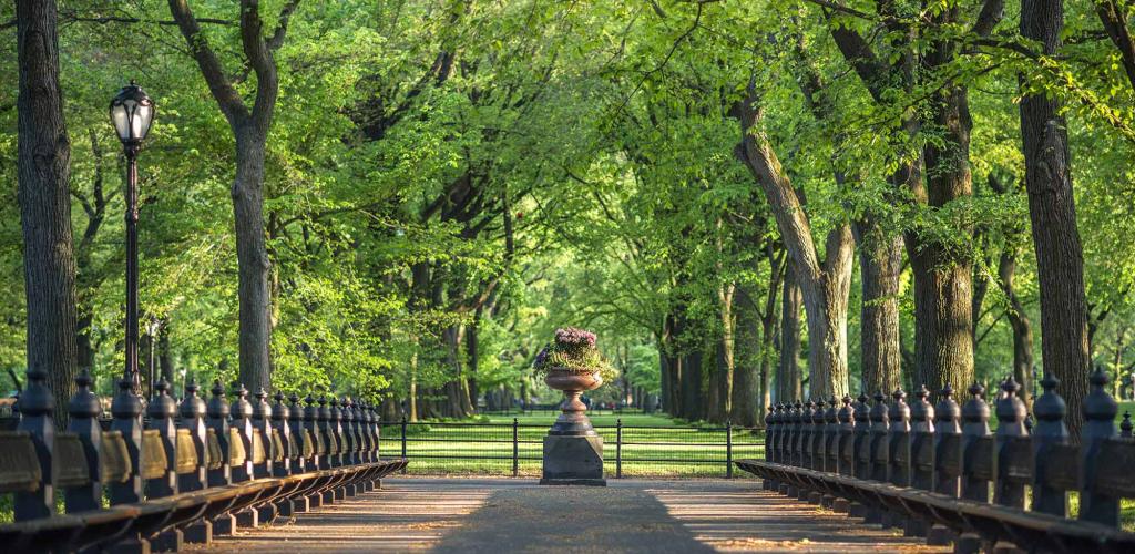 Home | Williams Jones Wealth Management